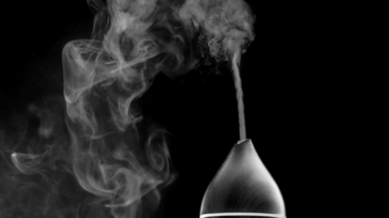 Humidifier Vs Diffuser: See the Differences