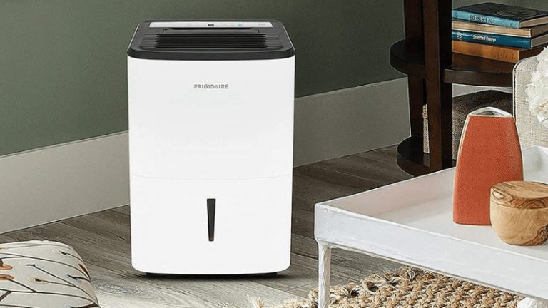 The 5 Best Dehumidifiers With Pump 2024