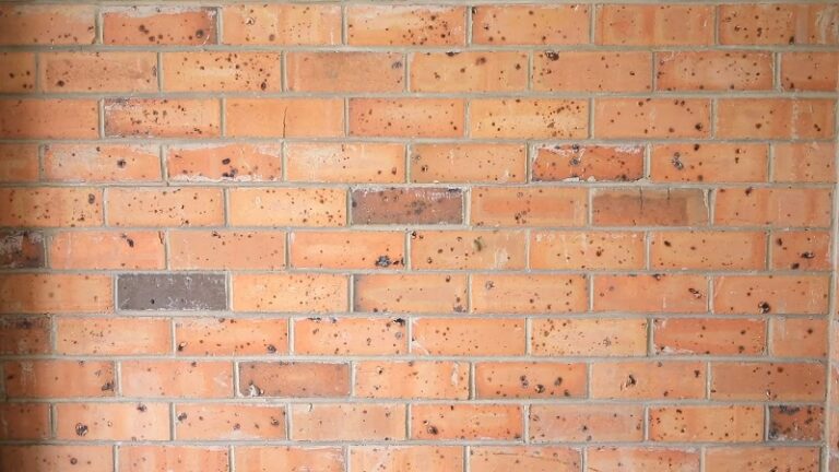 What Bricks Are Used for Internal Walls? 7 Tips to Know
